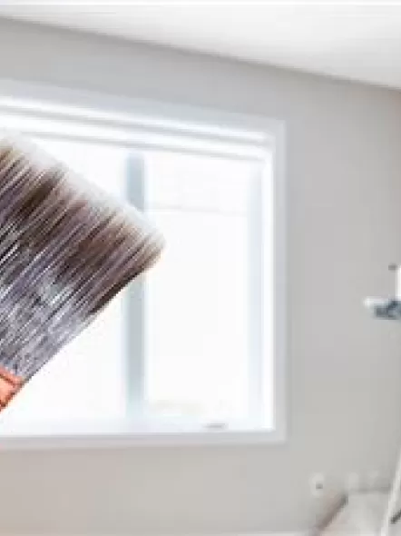 Nerolac Nerofix: Furniture adhesive for stronger bonding